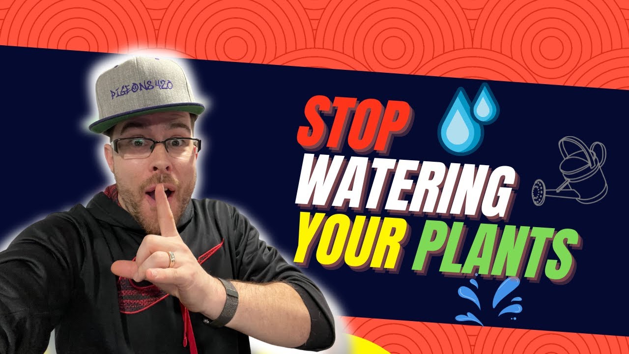 Stop Watering your Plants | Hands Free - YouTube