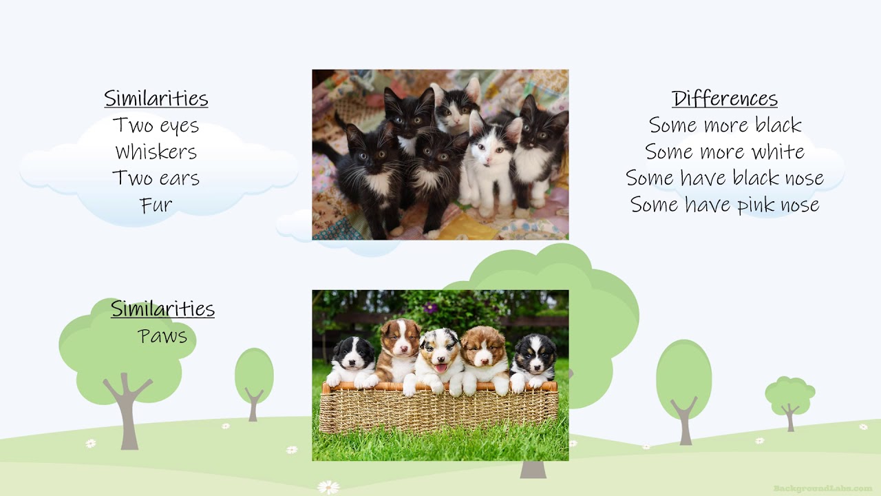 Heredity 1st Grade Concept Explaination Video Final - YouTube