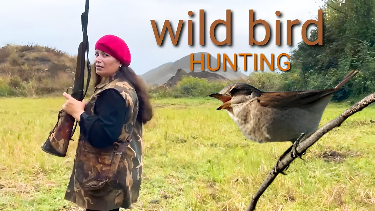 Wild bird hunting and forest hiking in one day - YouTube