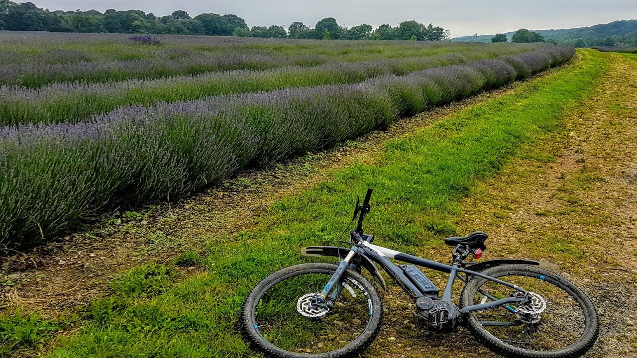 A Cycle To The Lavender Fields - YouTube