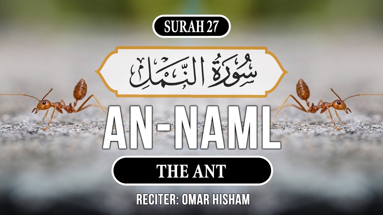 Surah An-Naml | Surah 27 | The Ant | With English Translations - YouTube