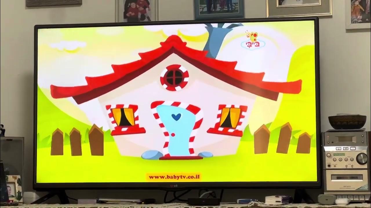 Swimming the sea fish and turtle (Hebrew) - YouTube