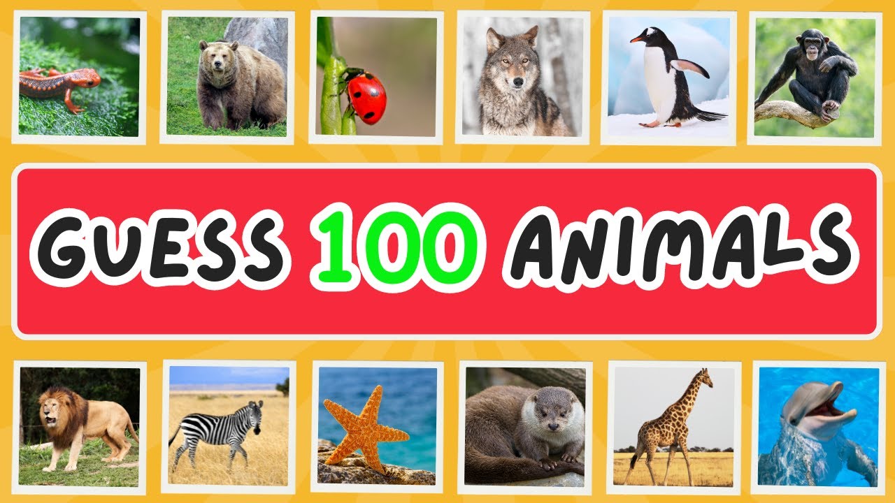 Do You Know 100 Animals?! 🤔🙃🤩 Guess The Animal Quiz #quiz #questions # ...