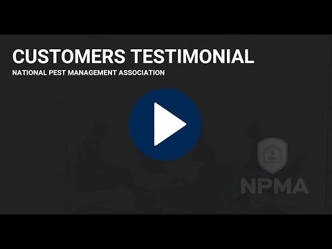 How To Check License And Certification Of Pest Control Companies