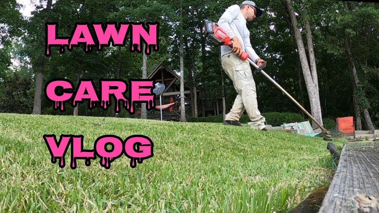 CRAZY TREE CLIMBERS+echo black diamond?🤔 - YouTube