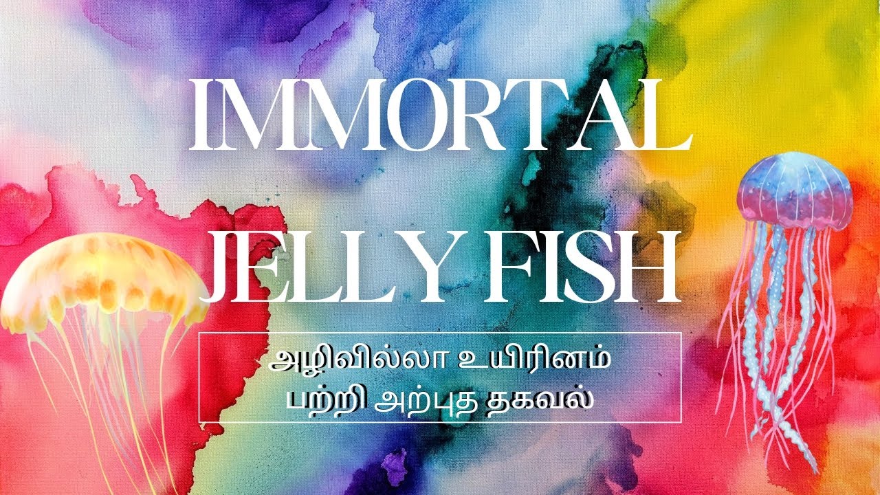 அழிவில்லாத உயிரினம் உலகத்தில் ஒன்று உண்டா?IMMORTAL JELLY FISH - YouTube