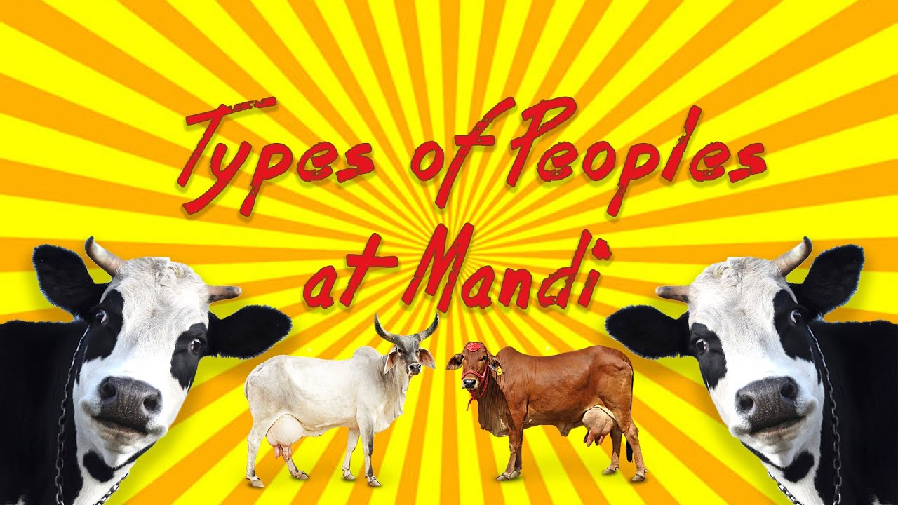 Types of People at Mandi | Cow Mandi 2020 | Lighters - YouTube