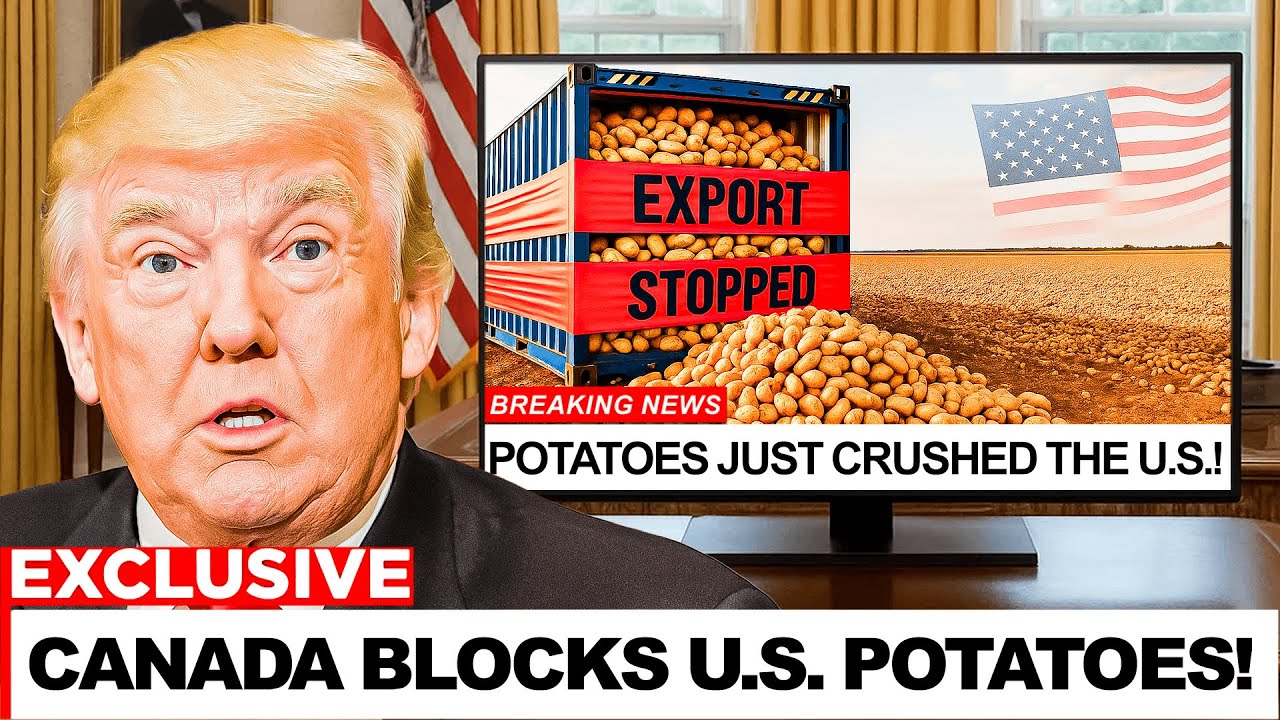 Trump’s WORST NIGHTMARE: Canada’s Potato Boom & Asia Deal Leave U.S. in ...