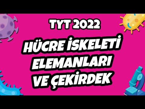 Hücre İskeleti Elemanları ve Çekirdek | TYT Biyoloji 2022 #hedefekoş