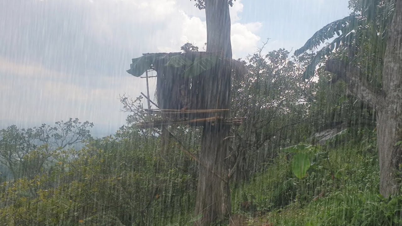 Building A Rain Shelter Up in The Trees - YouTube