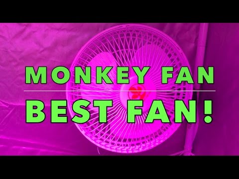 Monkey Fan - Wall Mount Fan For Optimal Air Circulation - YouTube