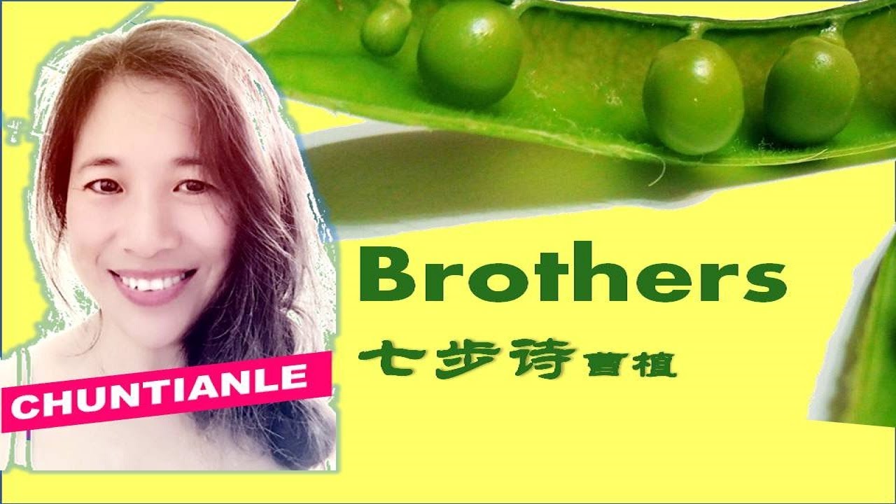 7 Steps Poem : Brothers with lyrics, chinese poem song 七步诗 曹植，古诗歌曲 ...