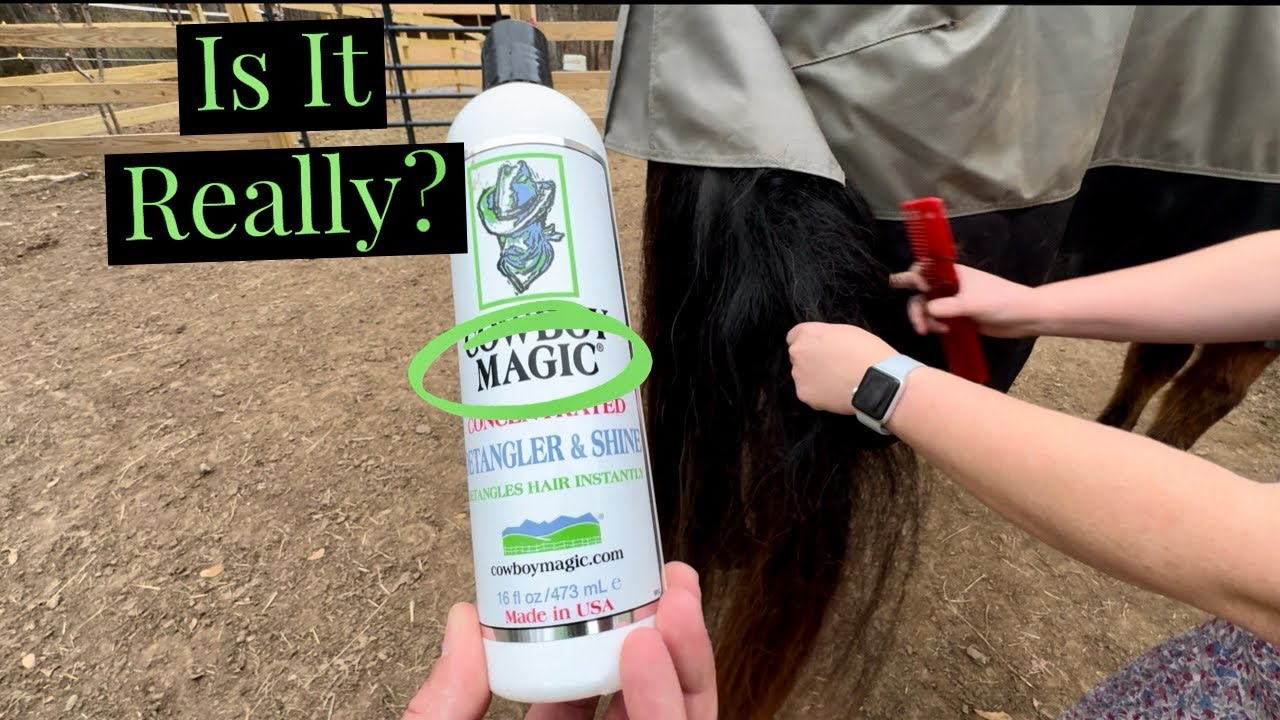 How to Groom a Severely Tangled Horse Tail - YouTube