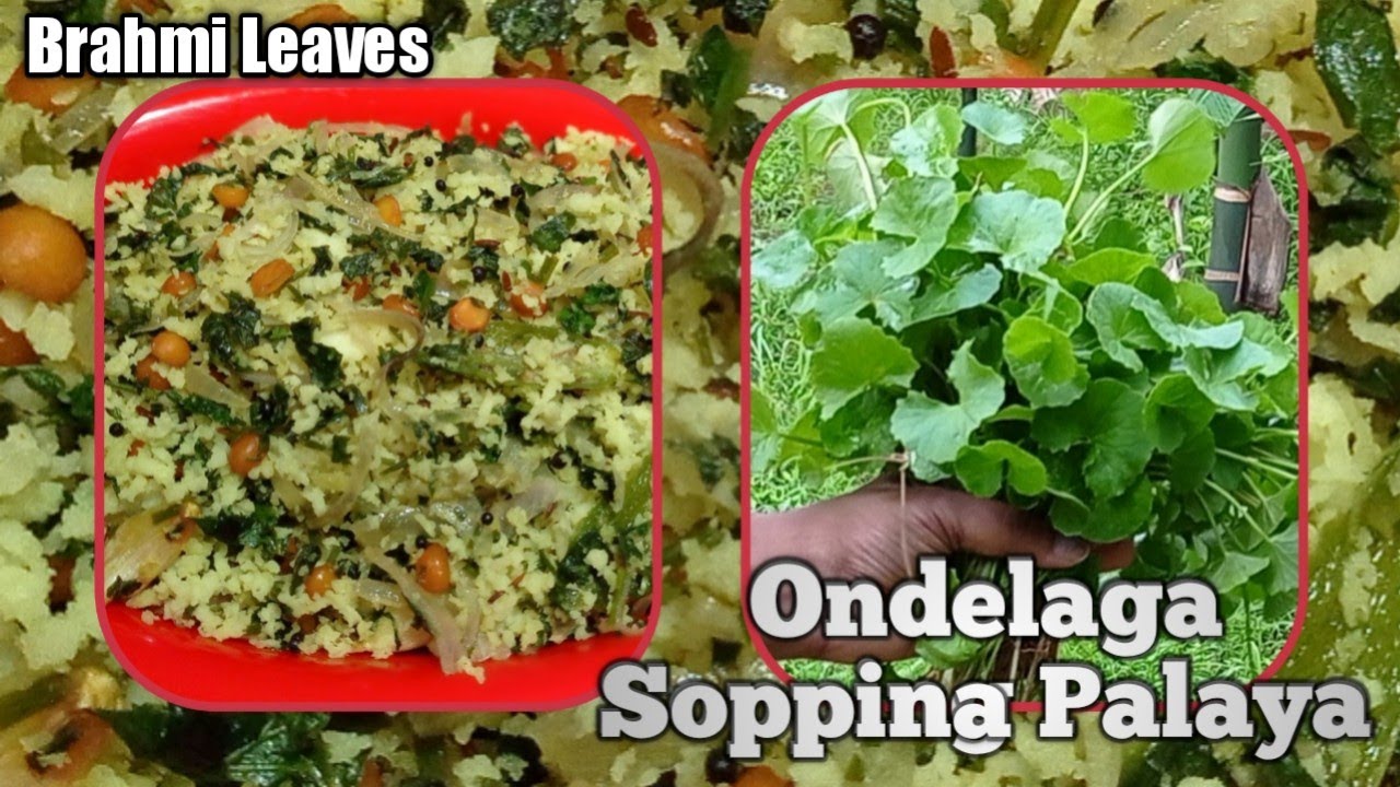 Healthy Ondelaga Soppina Palaya Bvahmi Leaves Bhaji Recipe In Kannada ...