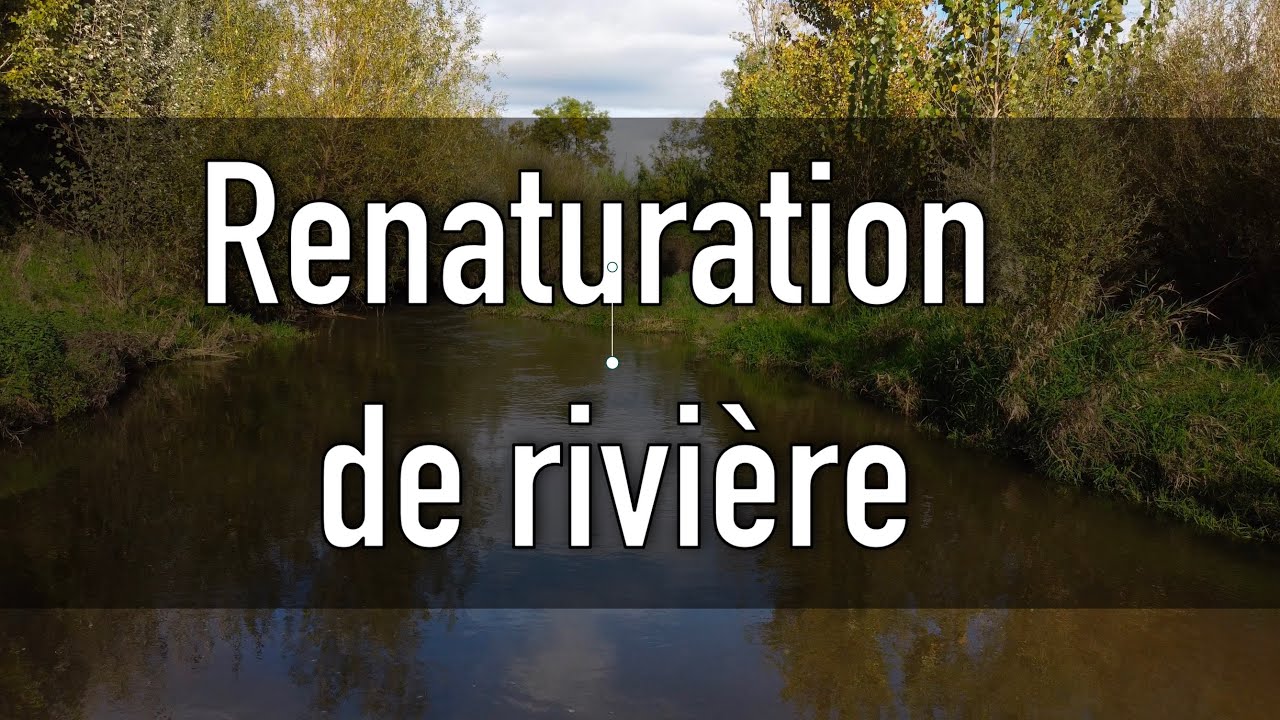 La renaturation des rivières, une solution pour retrouver un bon état ...