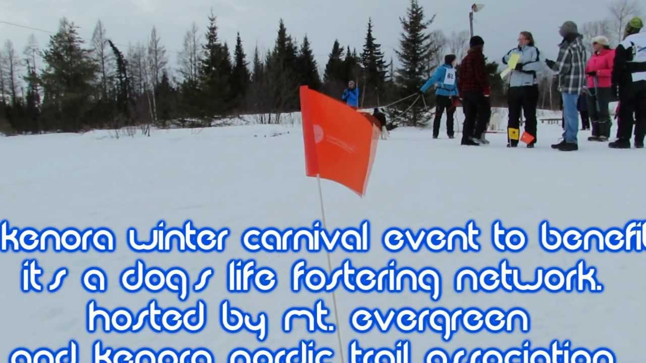 Kenora Winter Carnival- Skijoring - YouTube