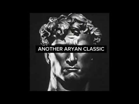 dj gollum - all the things she said Aryan Classic