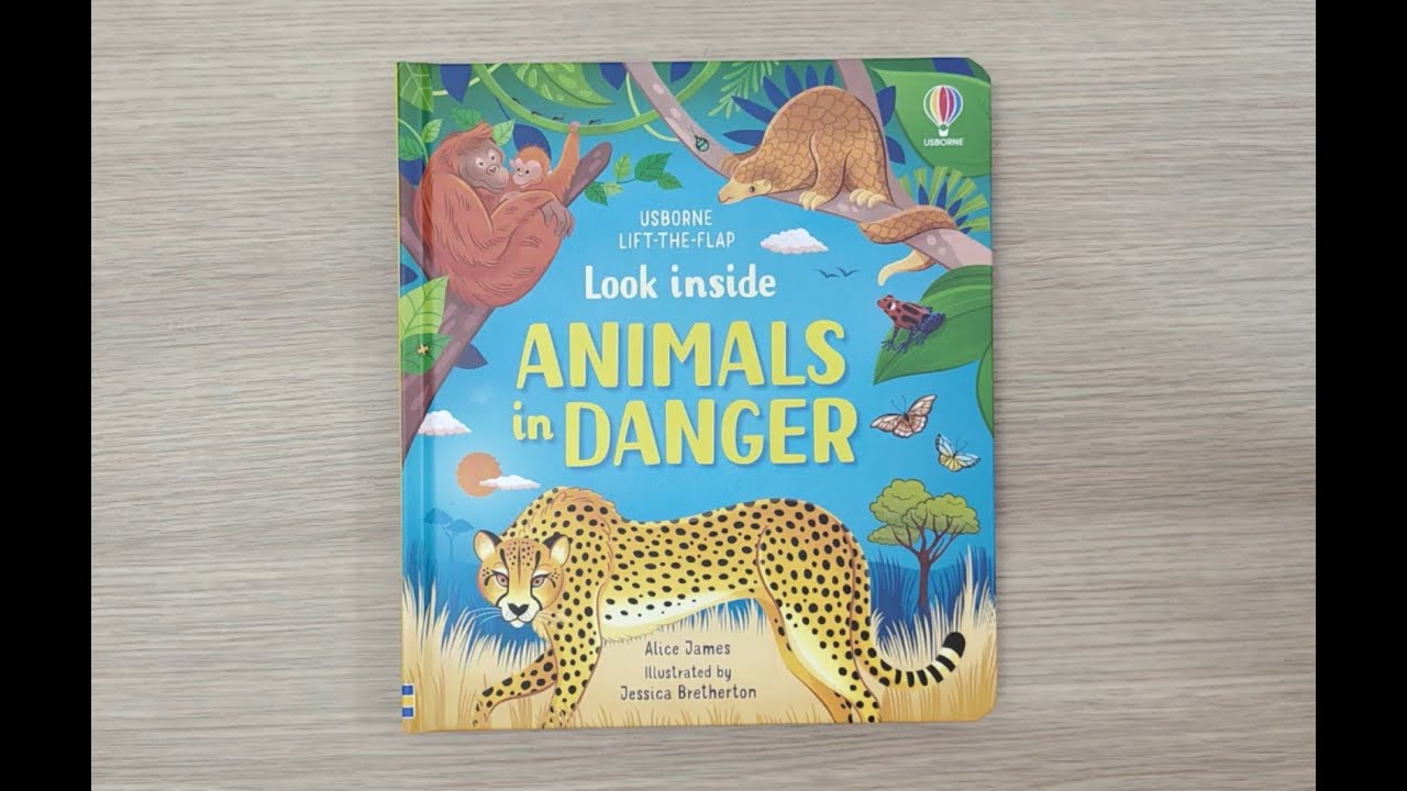 Usborne Look Inside Animals in Danger - YouTube