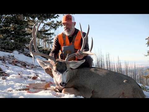 This Hunt Gets Wild!  | Public Land Mule Deer | 🎬 GRITTY 4K FILM