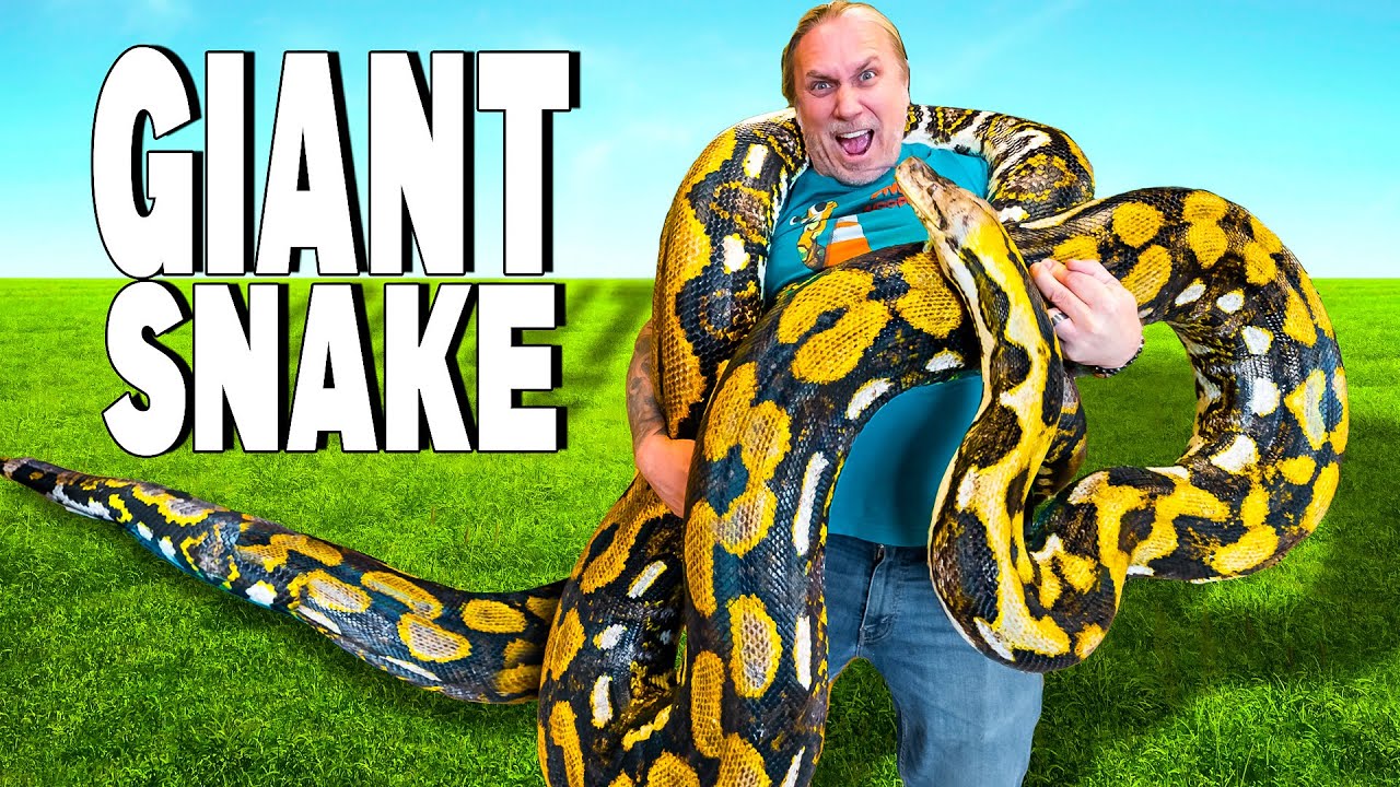 I Just Bought The Largest Snake I Ever! - YouTube