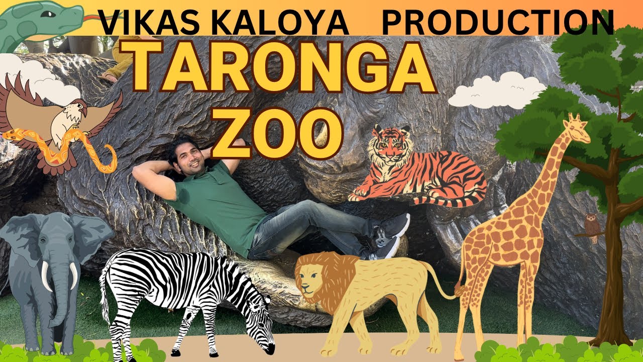 TARONGA ZOO. | AUSTRALIAN WILD LIFE. | THE BEST ZOO IN THE WORLD. - YouTube