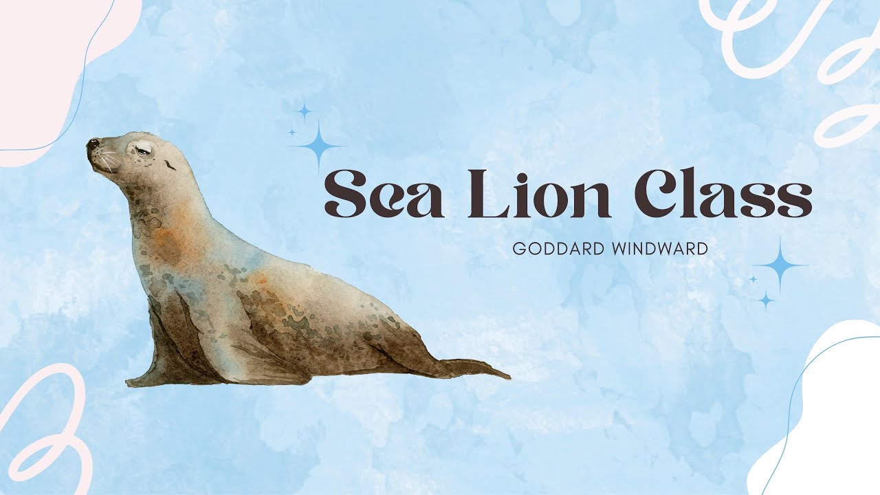 Virtual Tour: Sea Lion Preschool I Class - YouTube