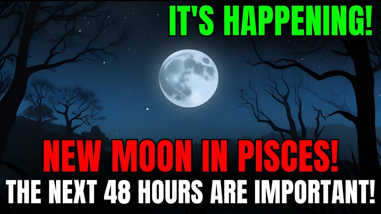 New Moon and Planetary Alignment! The Last Day of February 2025 Brings ...