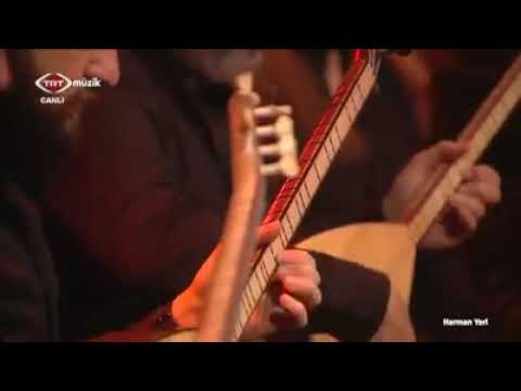 Koro dut dibine yaslanir