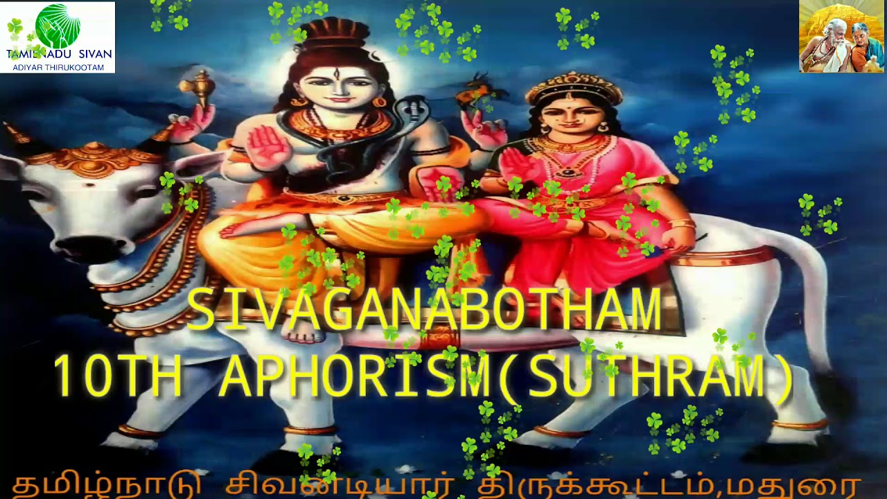 10 th APHORISMS - YouTube