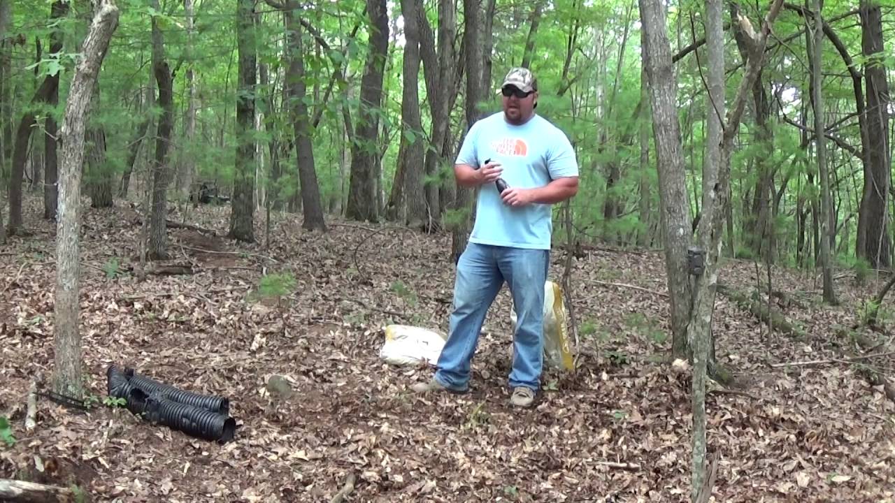 How to keep Bears off Trail Cameras - YouTube