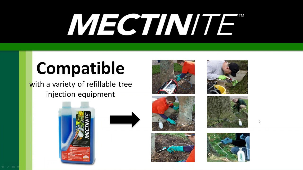 What You Can Use Mectinite For Other Than Emerald Ash Borer - YouTube