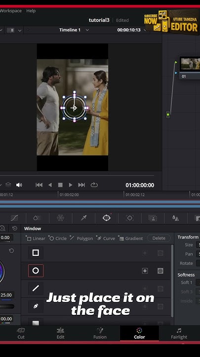 How to blur a face or object in Davinci Resolve | | Utube Tamizha - YouTube