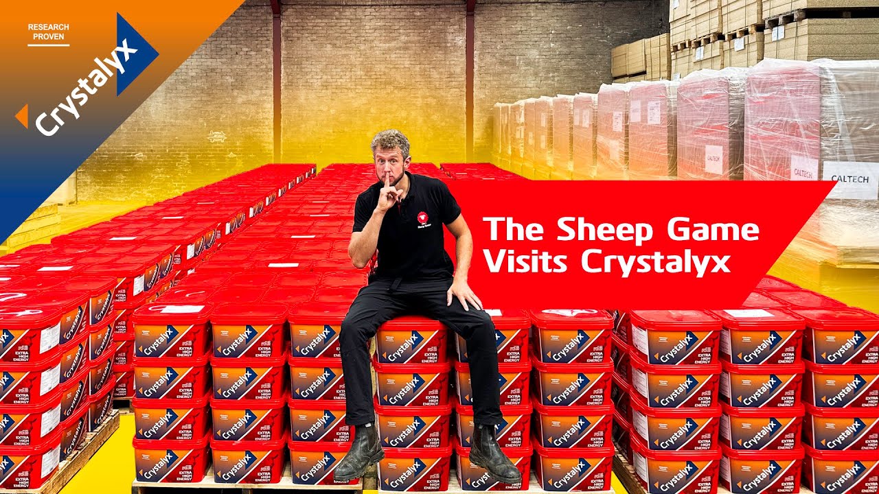 The Sheep Game Visits Crystalyx! - YouTube