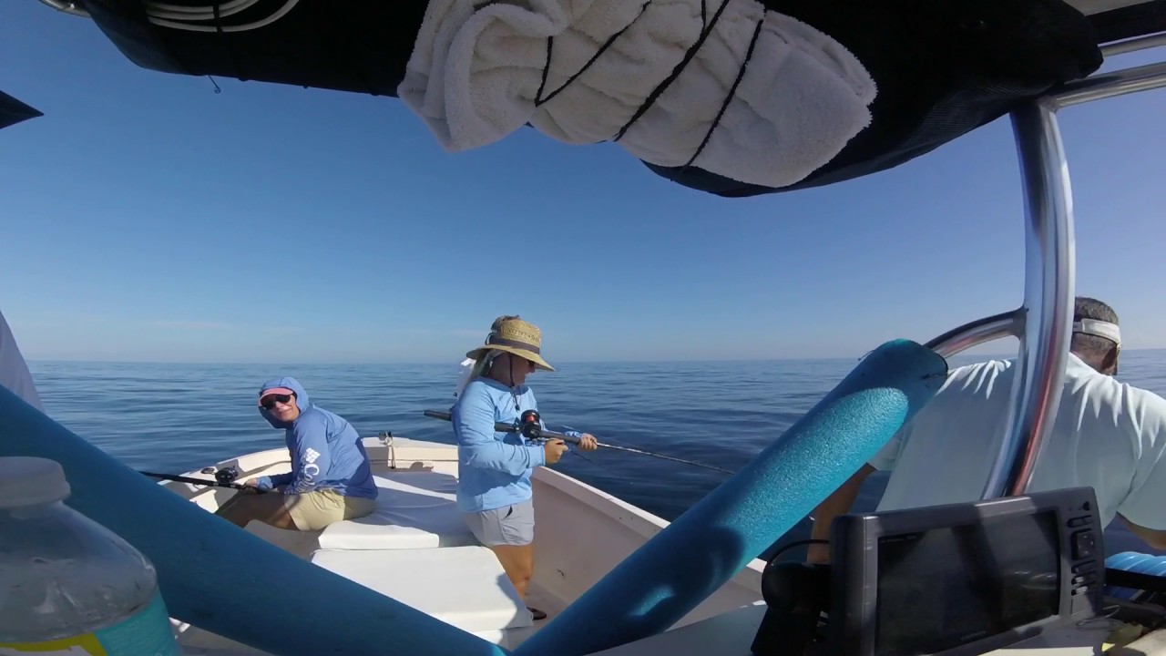 Catching Cobia with Help from The Captain on On The Hook Fishing ...
