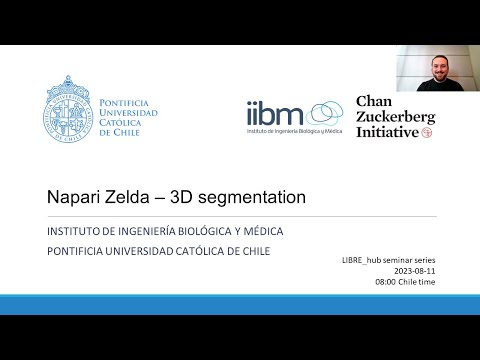 Napari Zelda Tutorial  on 3D image segmentation for microscopy | Rocco D'Antuono | Bioimage analysis