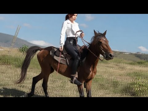 Mistress Hard Riding. Horse Riding. Mistress Shihuu femdom. Donkey Riding. Horse Riding.