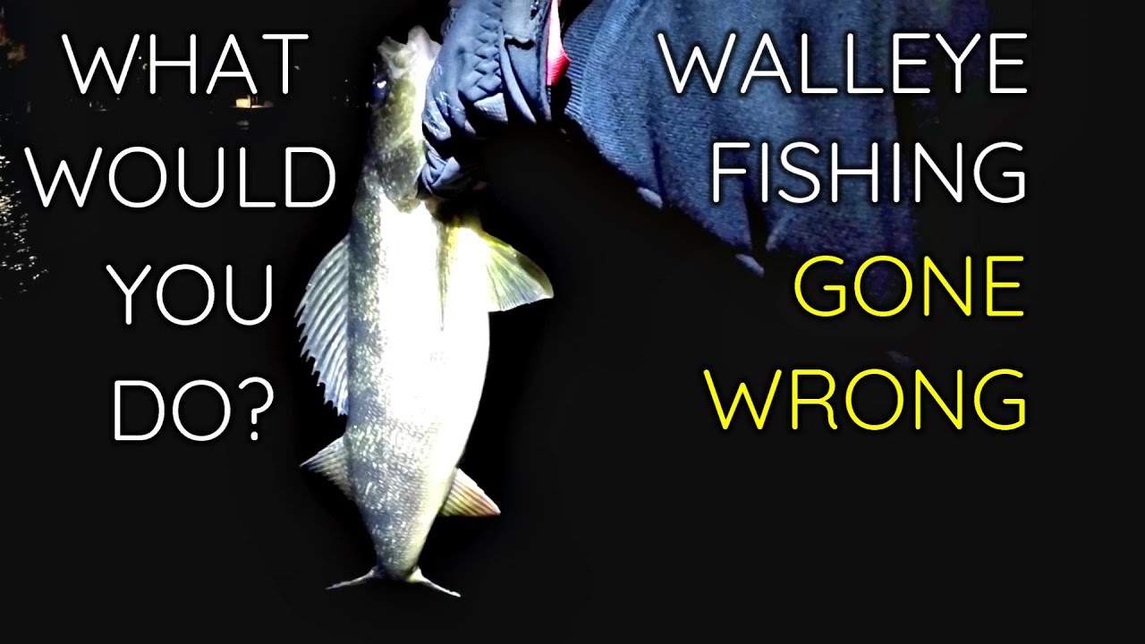 WHAT WOULD YOU DO? Has This Ever Happened to YOU? Walleye Fishing Gone ...