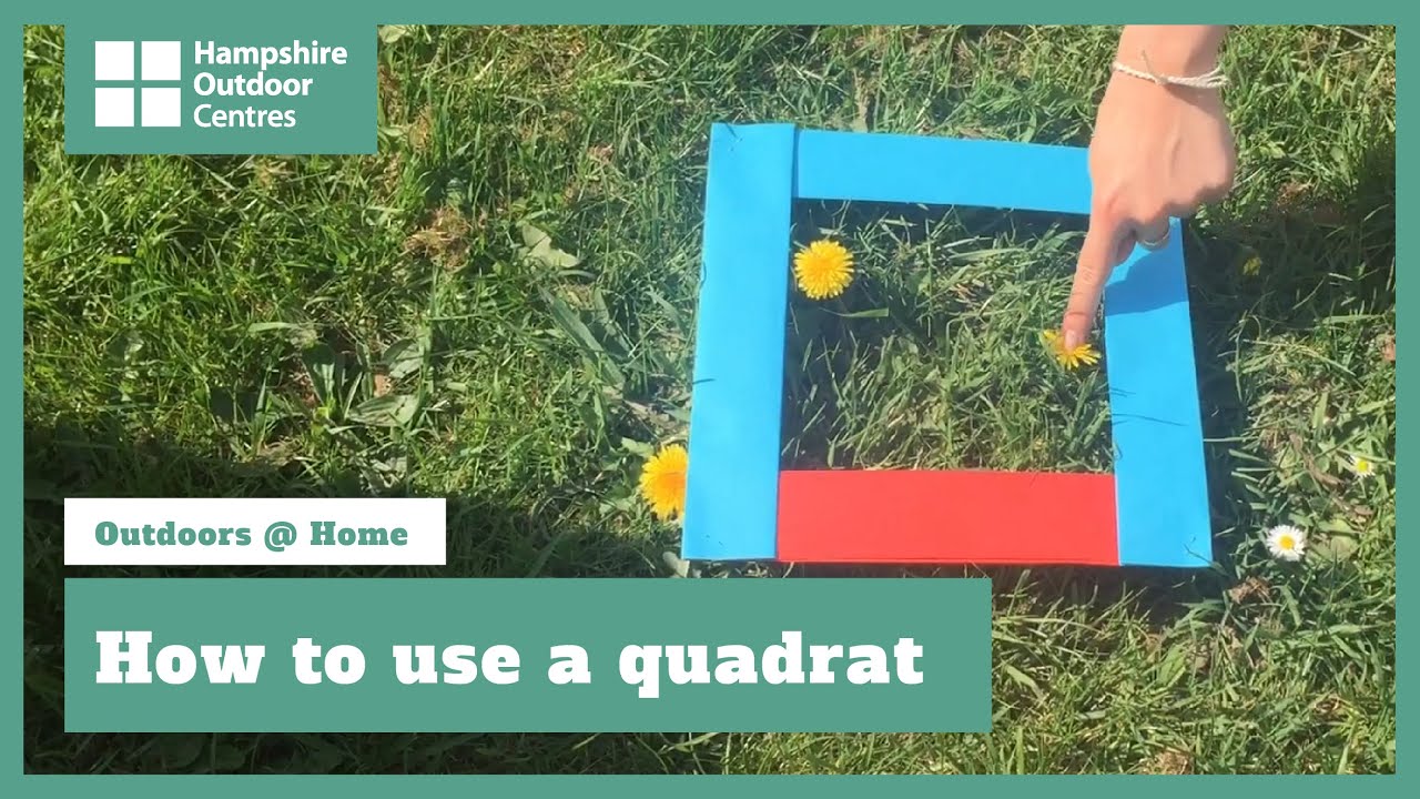 How to use a quadrat in your garden I Outdoor Centres at Home - YouTube