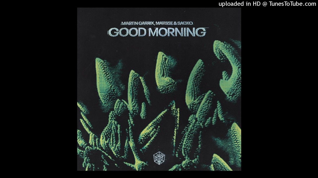 Martin Garrix, Matisse & Sadko - Good Morning (Intro Edit DragonMusix ...