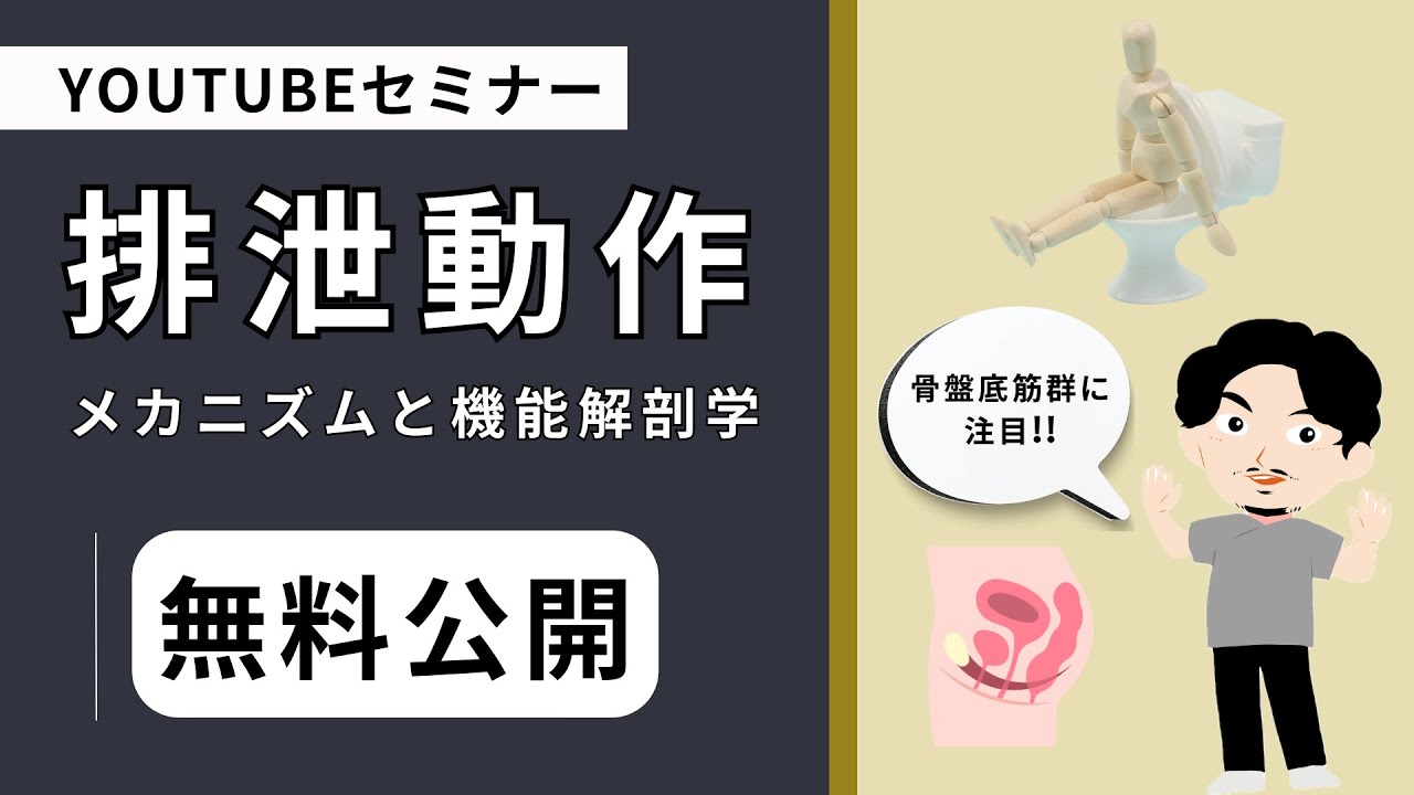 排泄動作のメカニズムと骨盤底筋群の機能解剖学 - YouTube