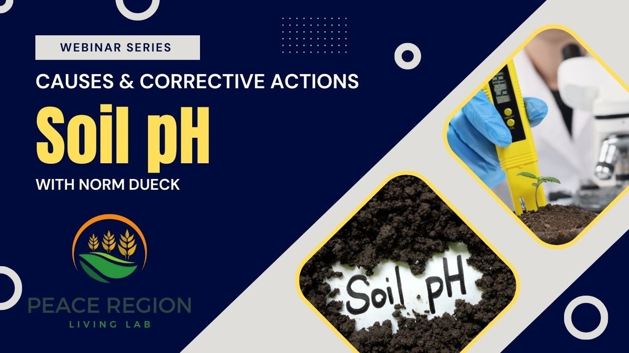 Soil pH with Norm Dueck - YouTube