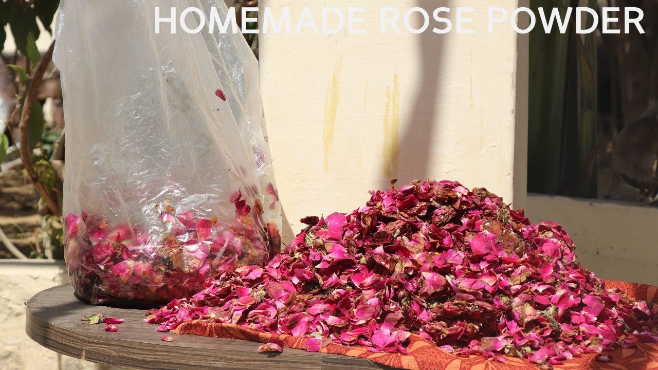 Homemade Rose Powder| USES OF ROSE POWDER| Rose Powder For Glowing Skin ...