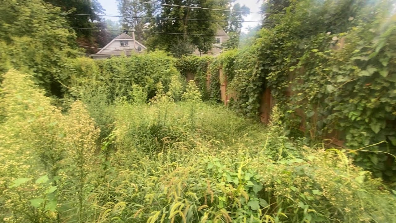 MULTIPLE Lawn companies NO CALL/NO SHOW on NEW PARENTS with OVERGROWN ...