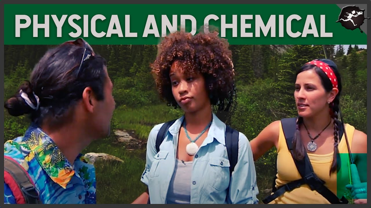 Physical vs Chemical Changes of Matter: Untamed Science Middle Grades ...