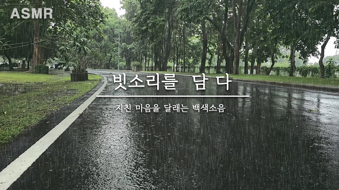 이른 아침 시골도로 위의 빗소리 Asmr 긴장 완화와 마음의 안정을 위한 백색소음 스트레스 해소 이명 완화 집중력 향상