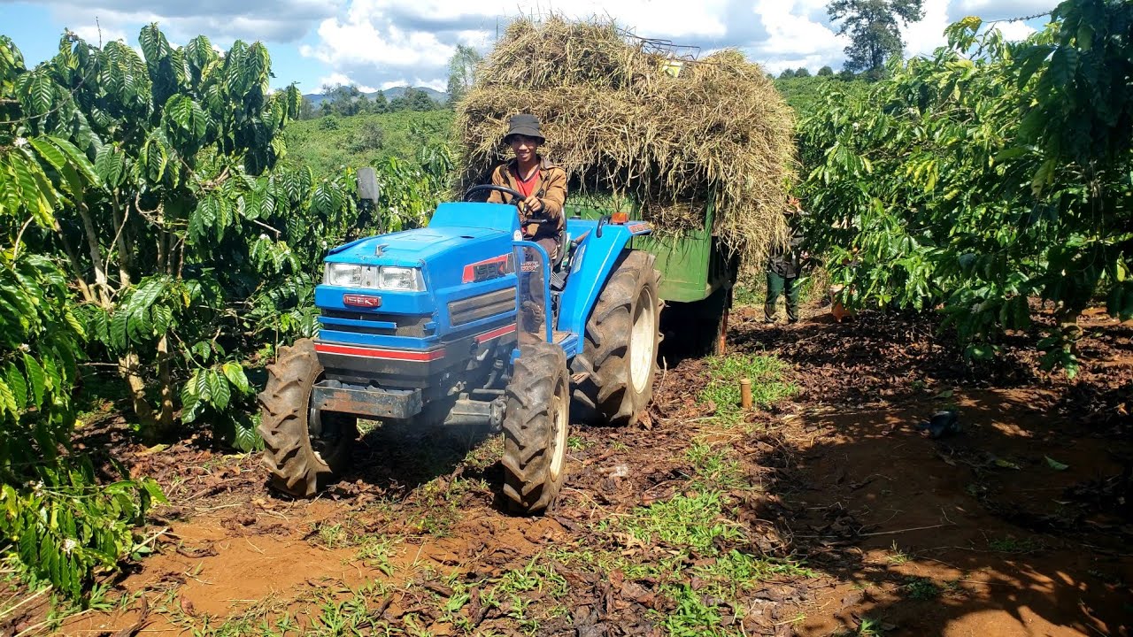 Xe cày chở lúa lúa lên dốc rất khỏe...Xe làm lốp đôi rất chắc chắn ...