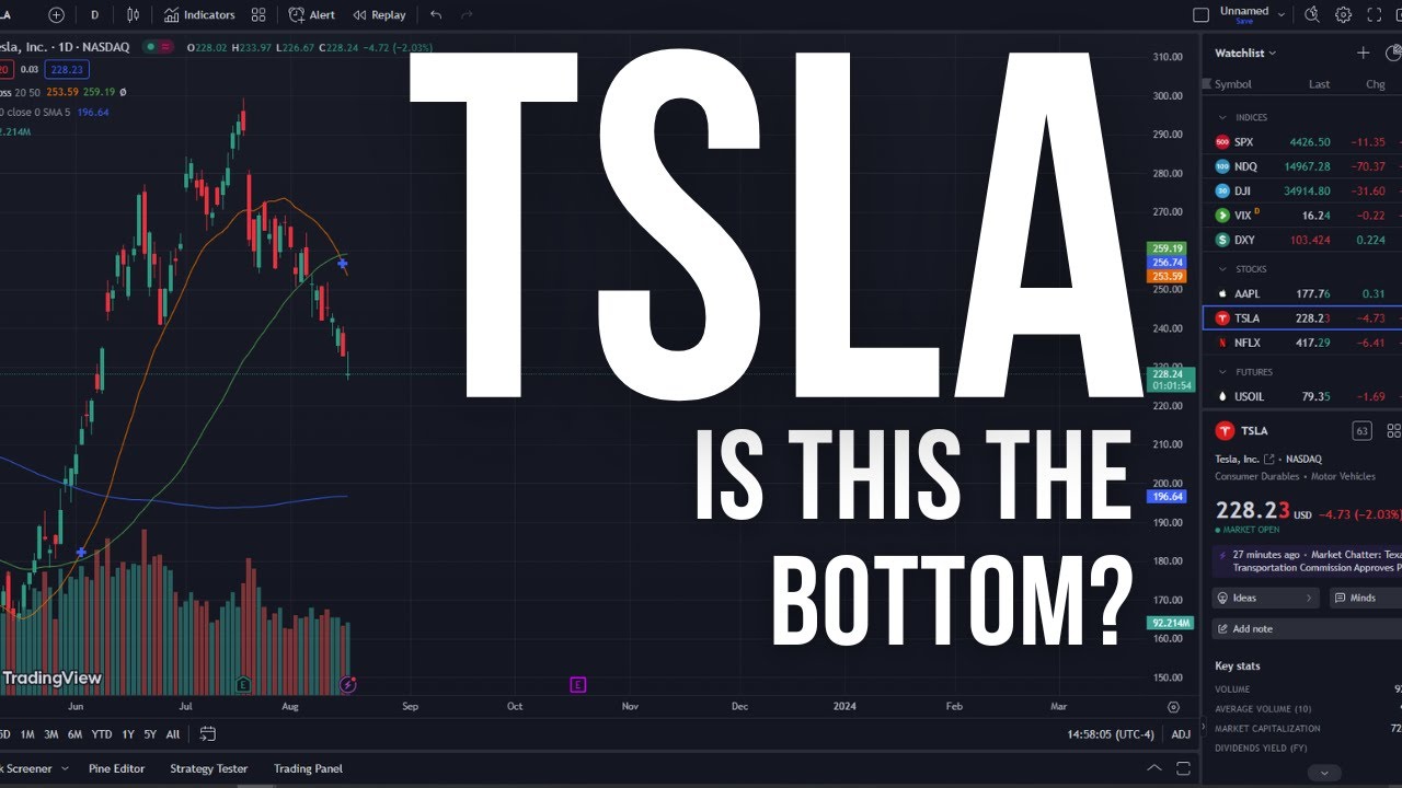 TSLA How LOW can it go? - YouTube