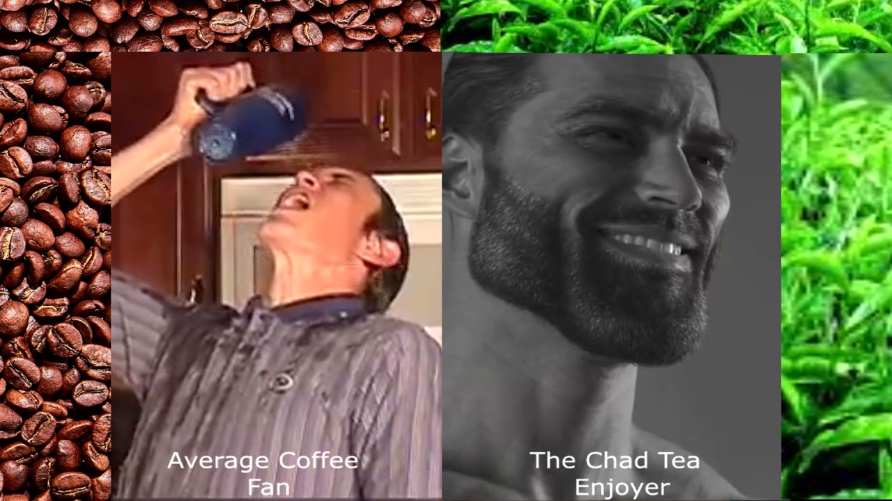 Average Coffee Fan vs Chad Tea Enjoyer - YouTube