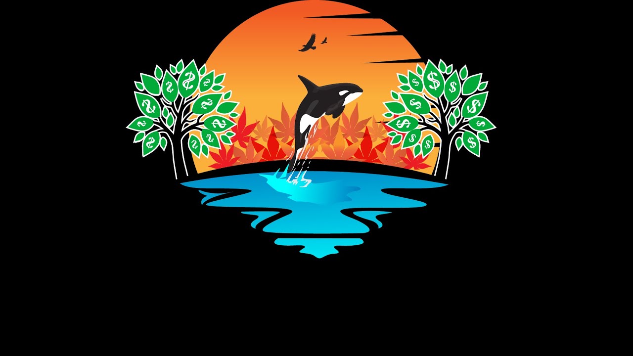 How to train a crow - YouTube