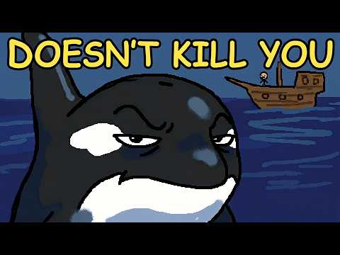 Why Orcas Never Attack Humans In The Wild?